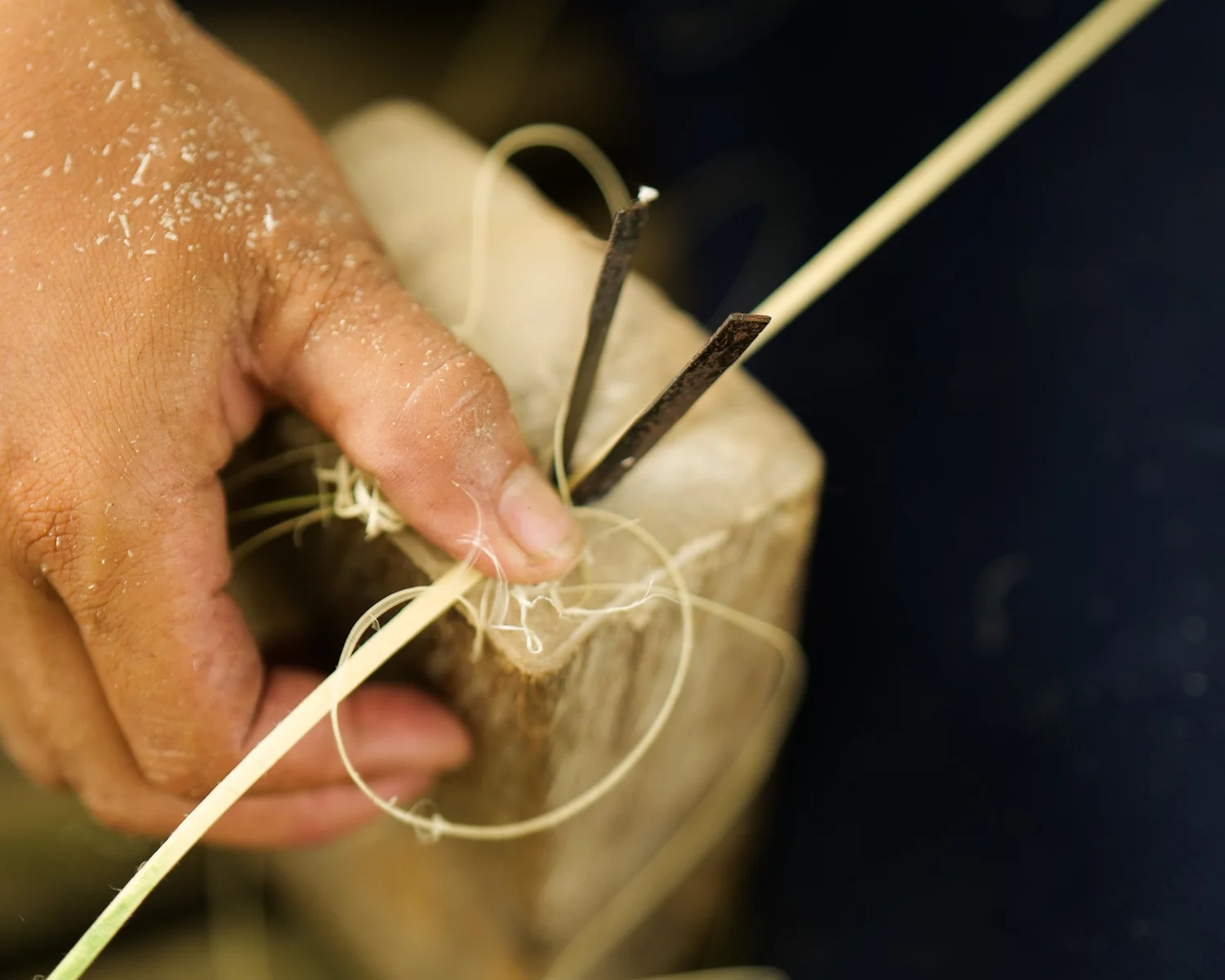 Our Story — HANDEP