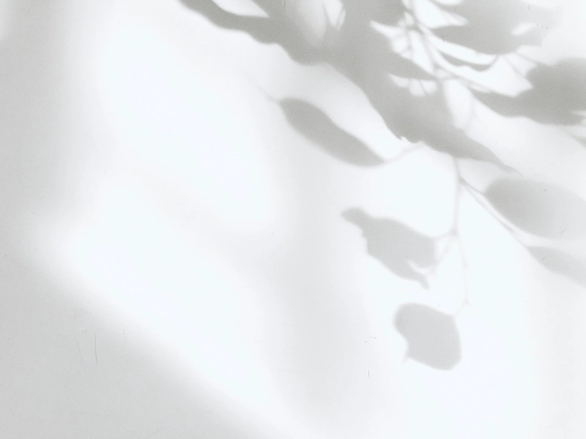 Design Studio Oslo — Holum Studio