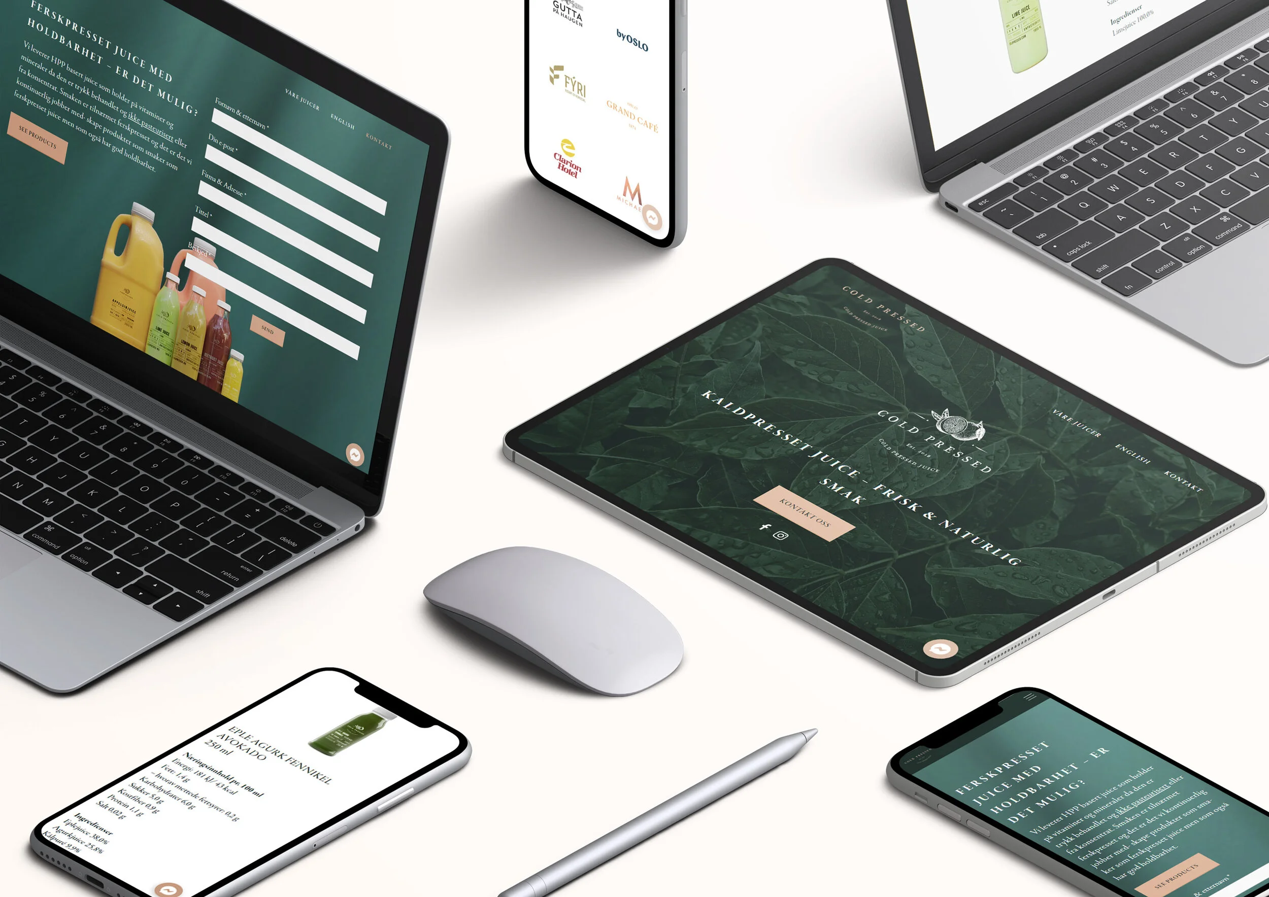 Norwegian Web Studio — Holum Studio