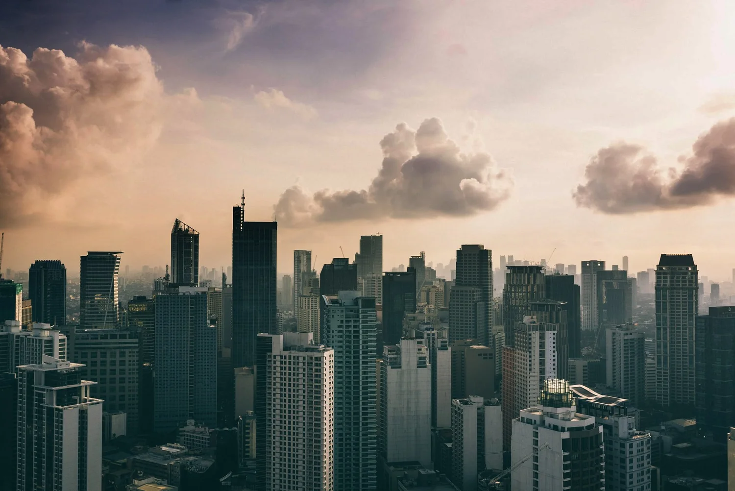 Webflow Studio Oslo — Holum Studio