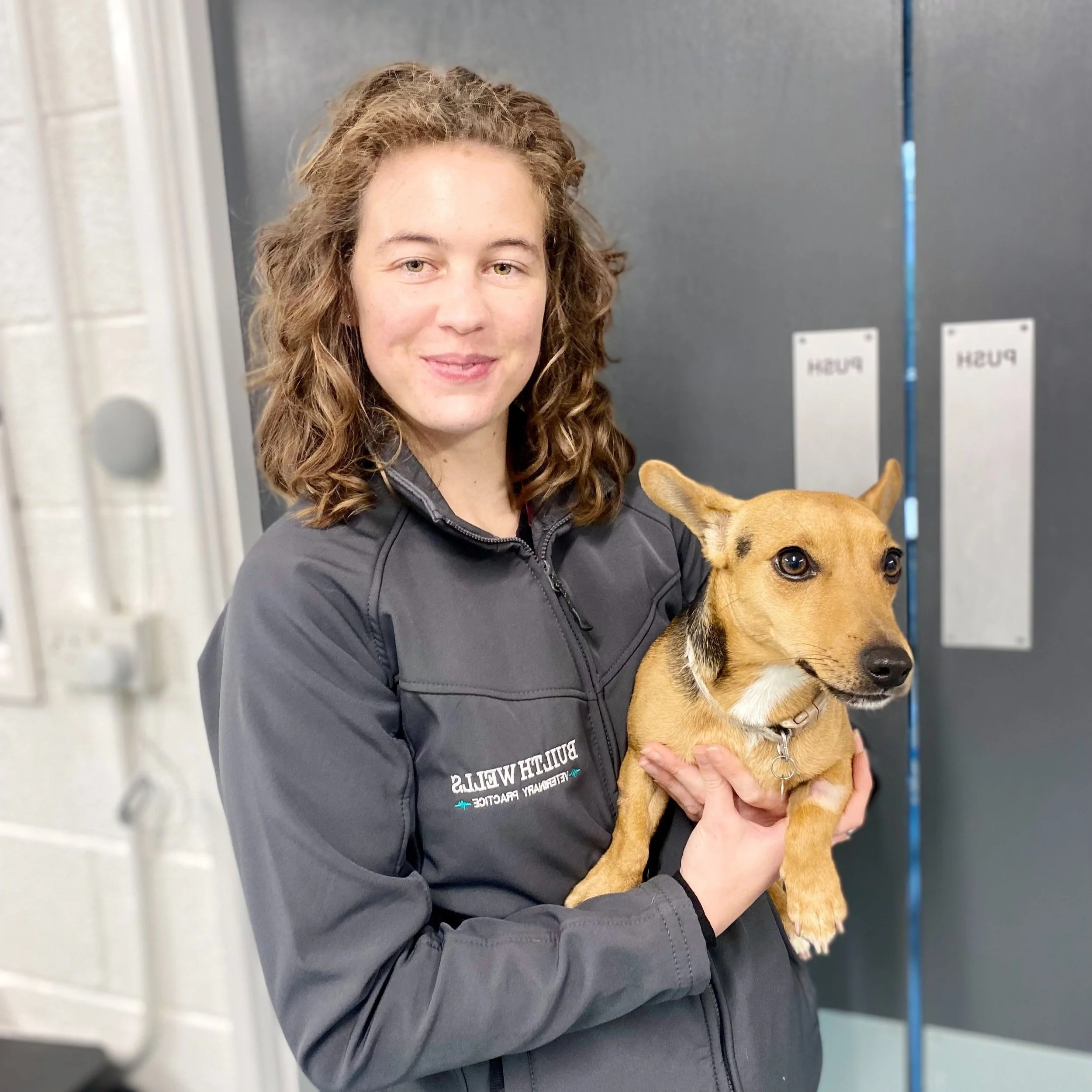 Nurse Clinics — Builth Wells Veterinary Practice