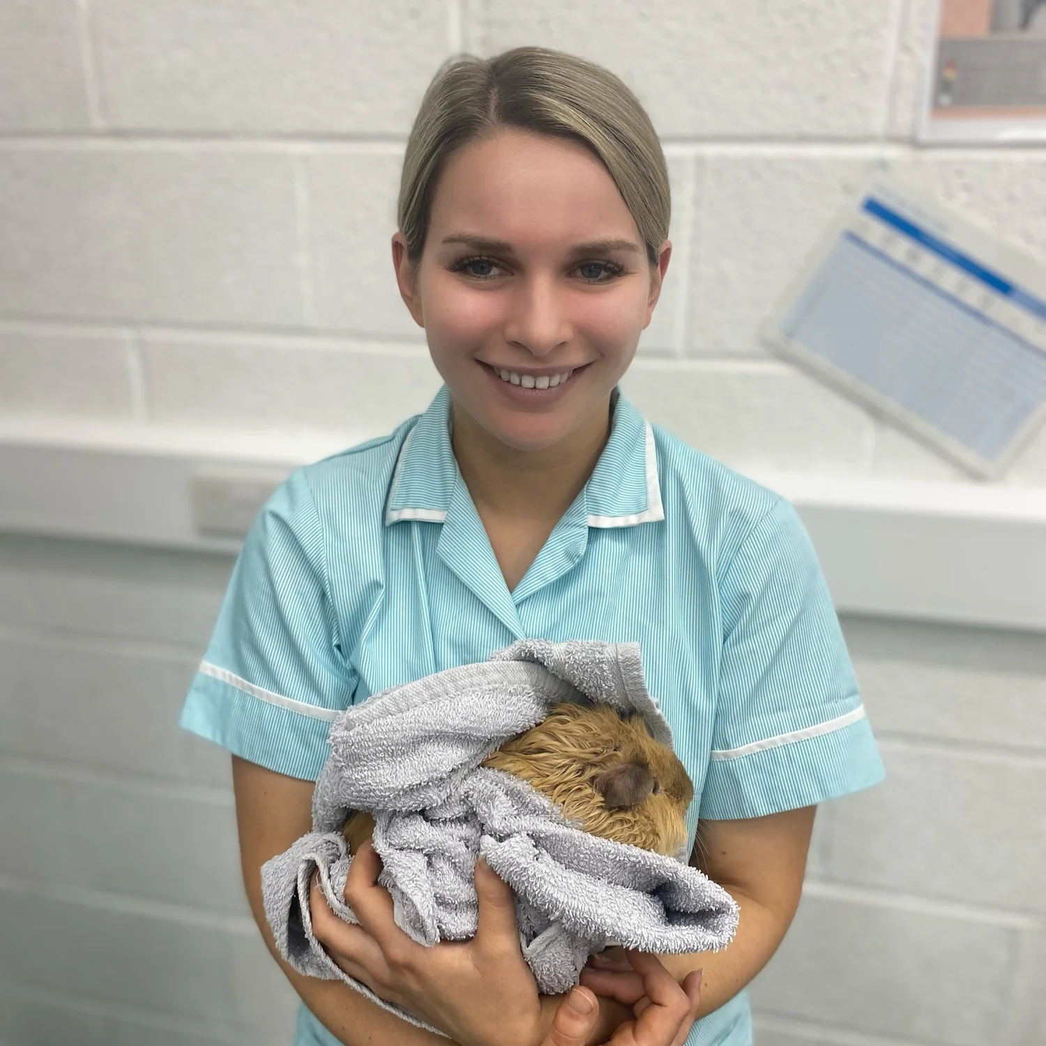 Meet the team — Builth Wells Veterinary Practice