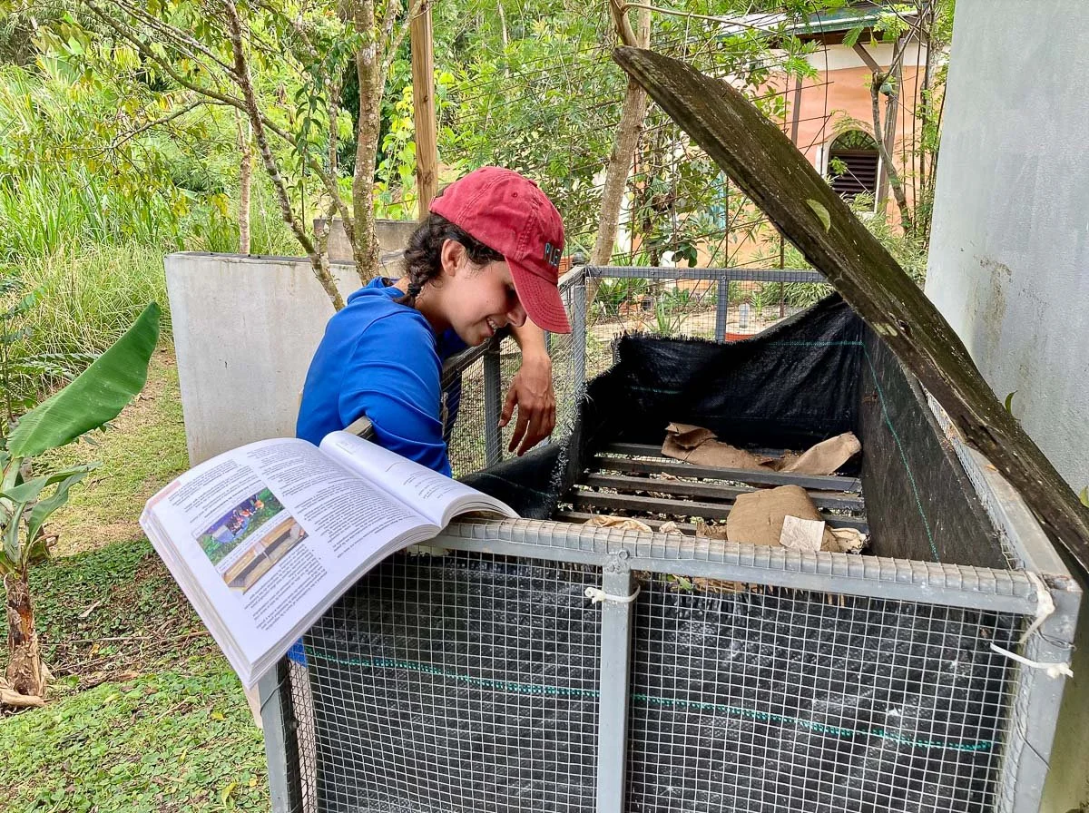 Starting Your At-Home Worm Compost System — Plenitud PR