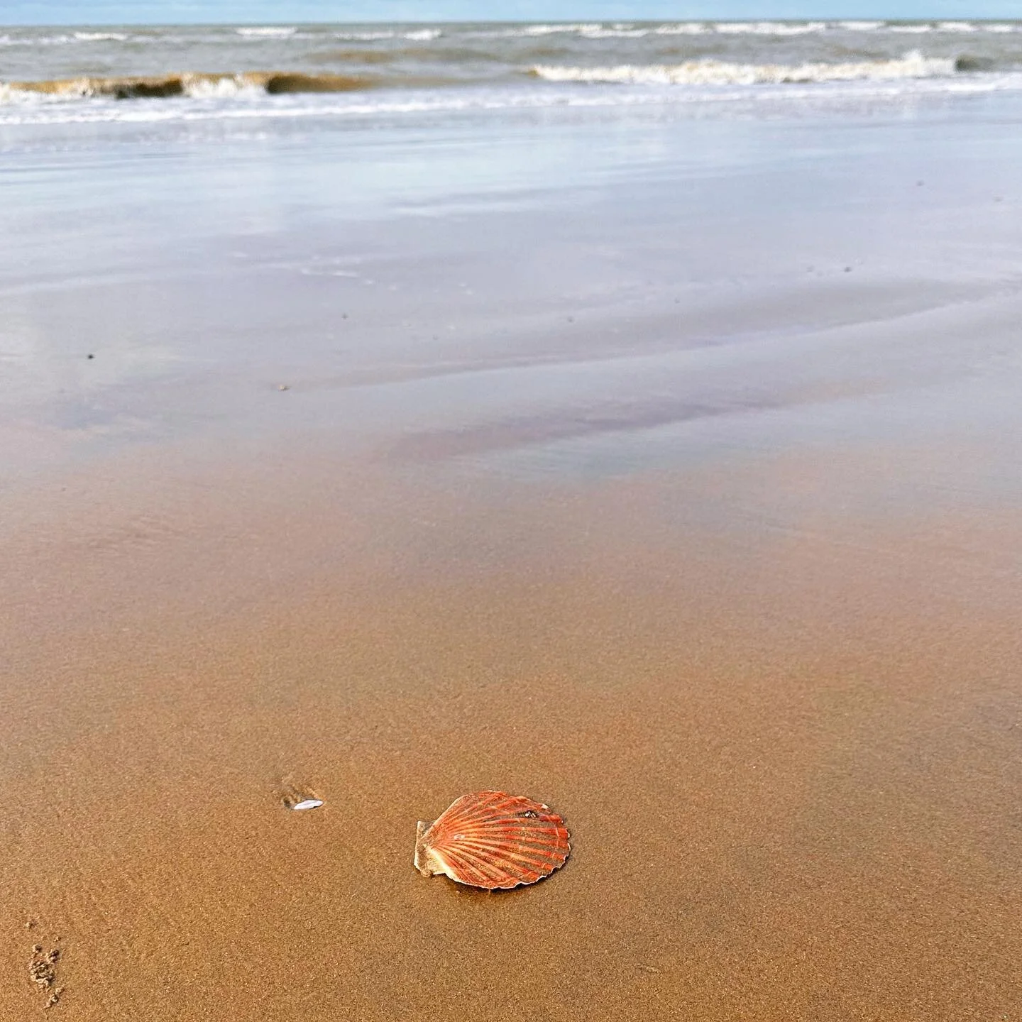 Deborah Wren Ceramics - Ceramic Art