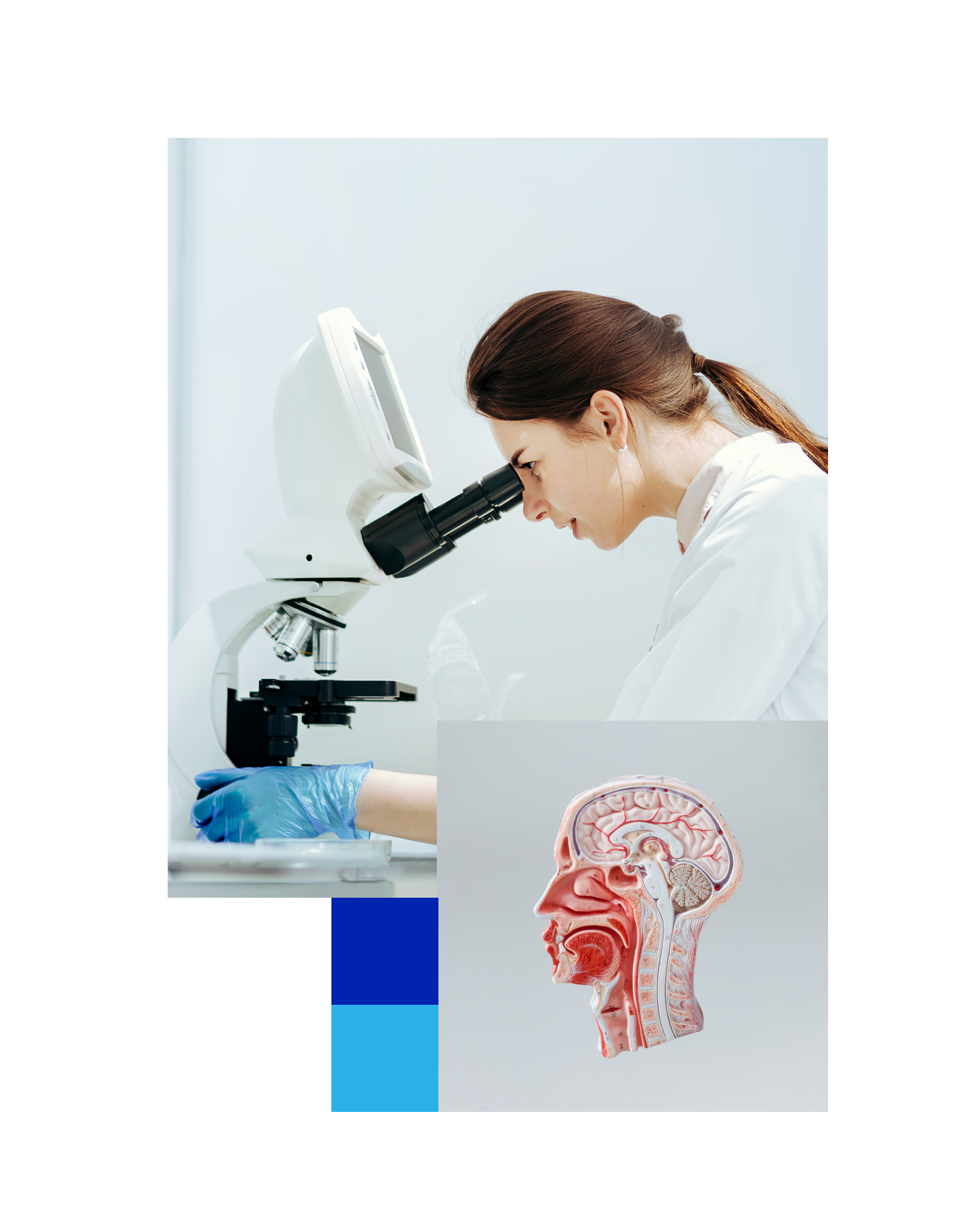 Frontiers press office