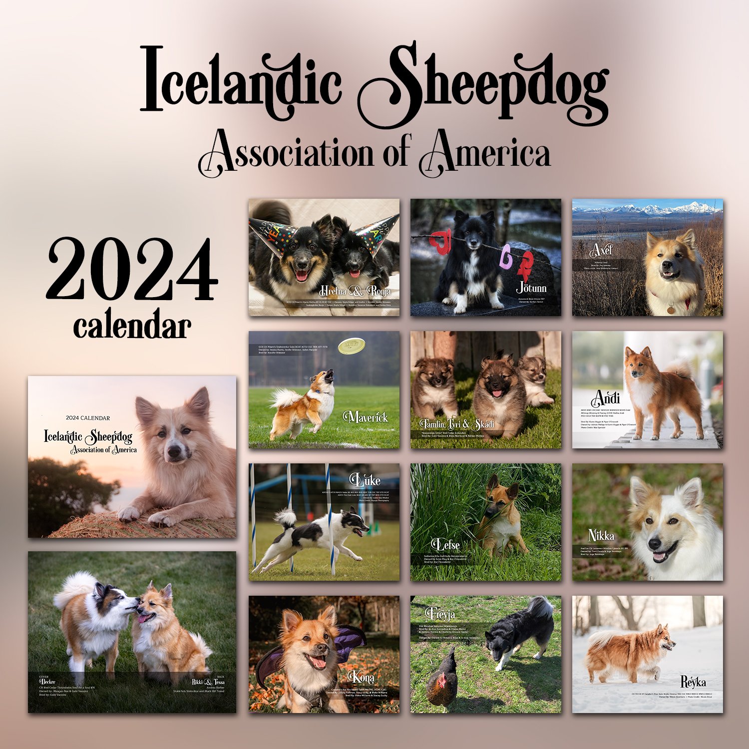 Icelandic Sheepdog Association of America