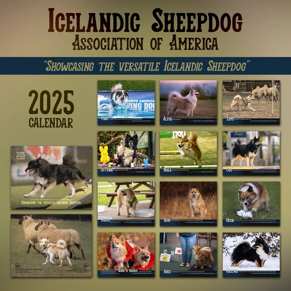 Icelandic Sheepdog Association of America