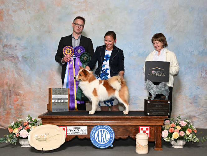 Breeder Directory — Icelandic Sheepdog Association of America
