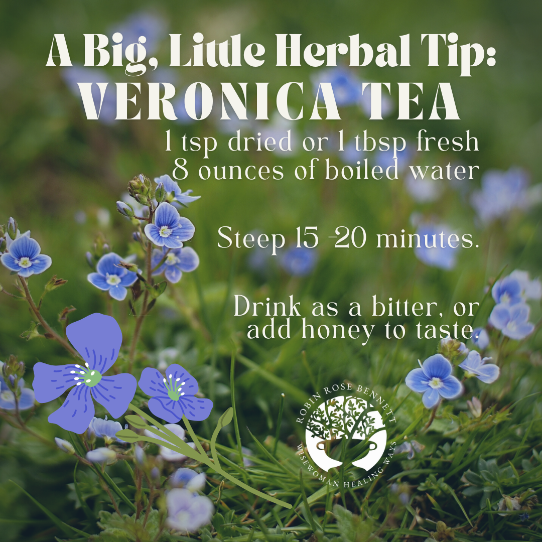 Veronica Officinalis — Robin Rose Bennett