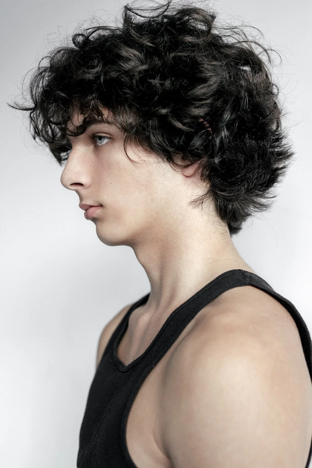 JACOB DIONNE — MAVEN MODELS