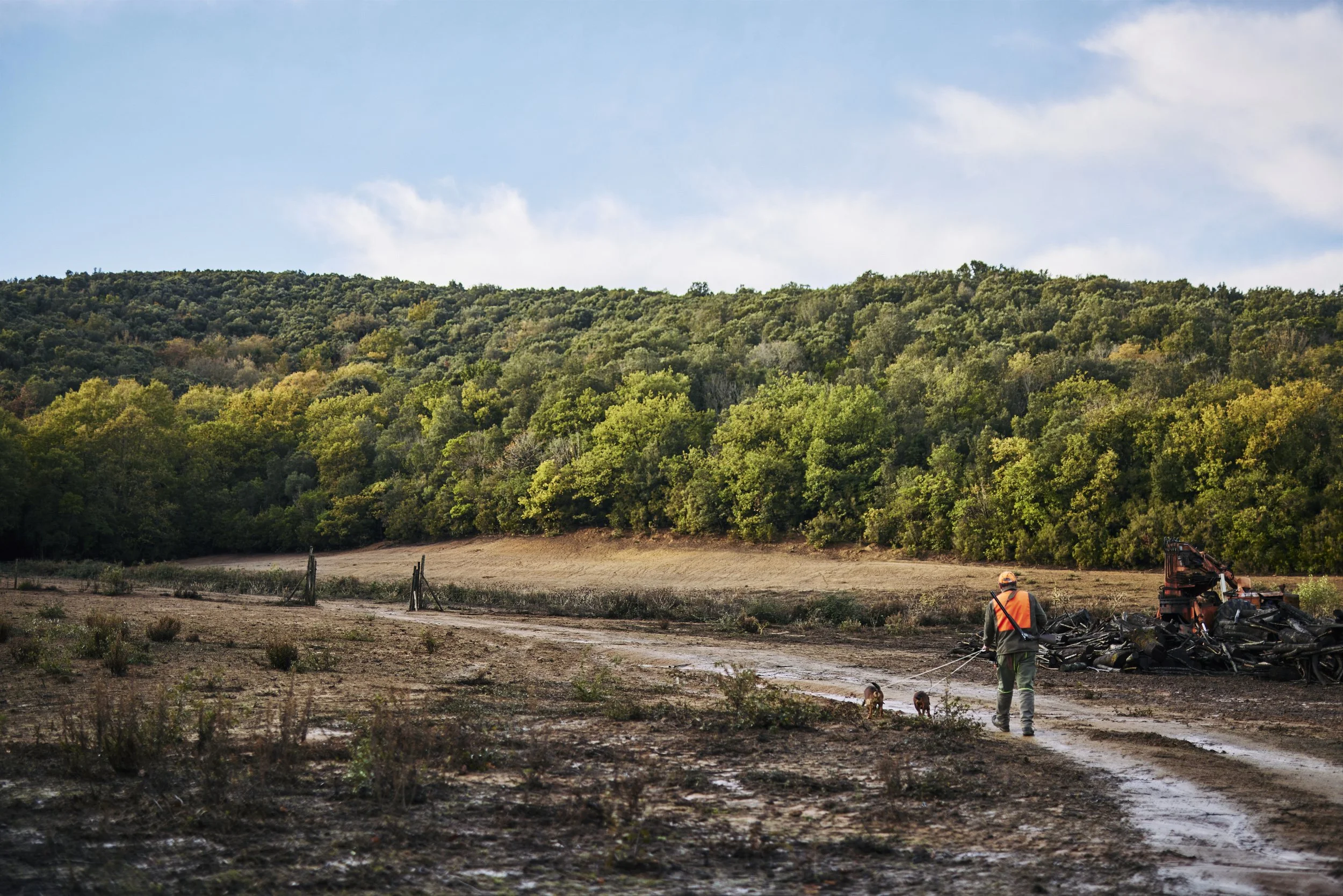 The Tuscan Boar- The hunt for Silence and a good meal. The Urban ...