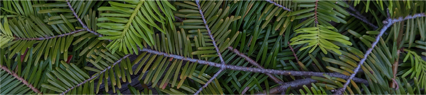 Tall Tree Health - Greater Vancouver & Victoria