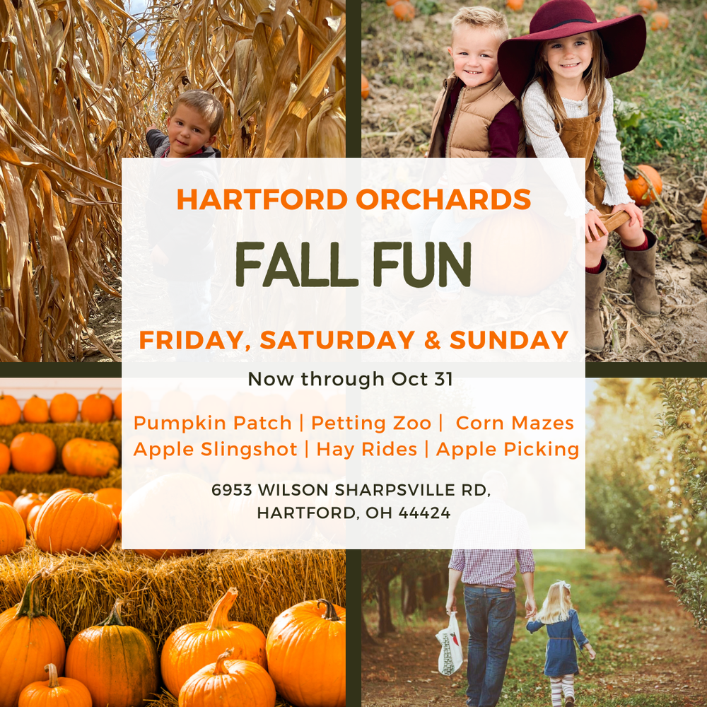 Fall Fun 2024 — Hartford Orchards
