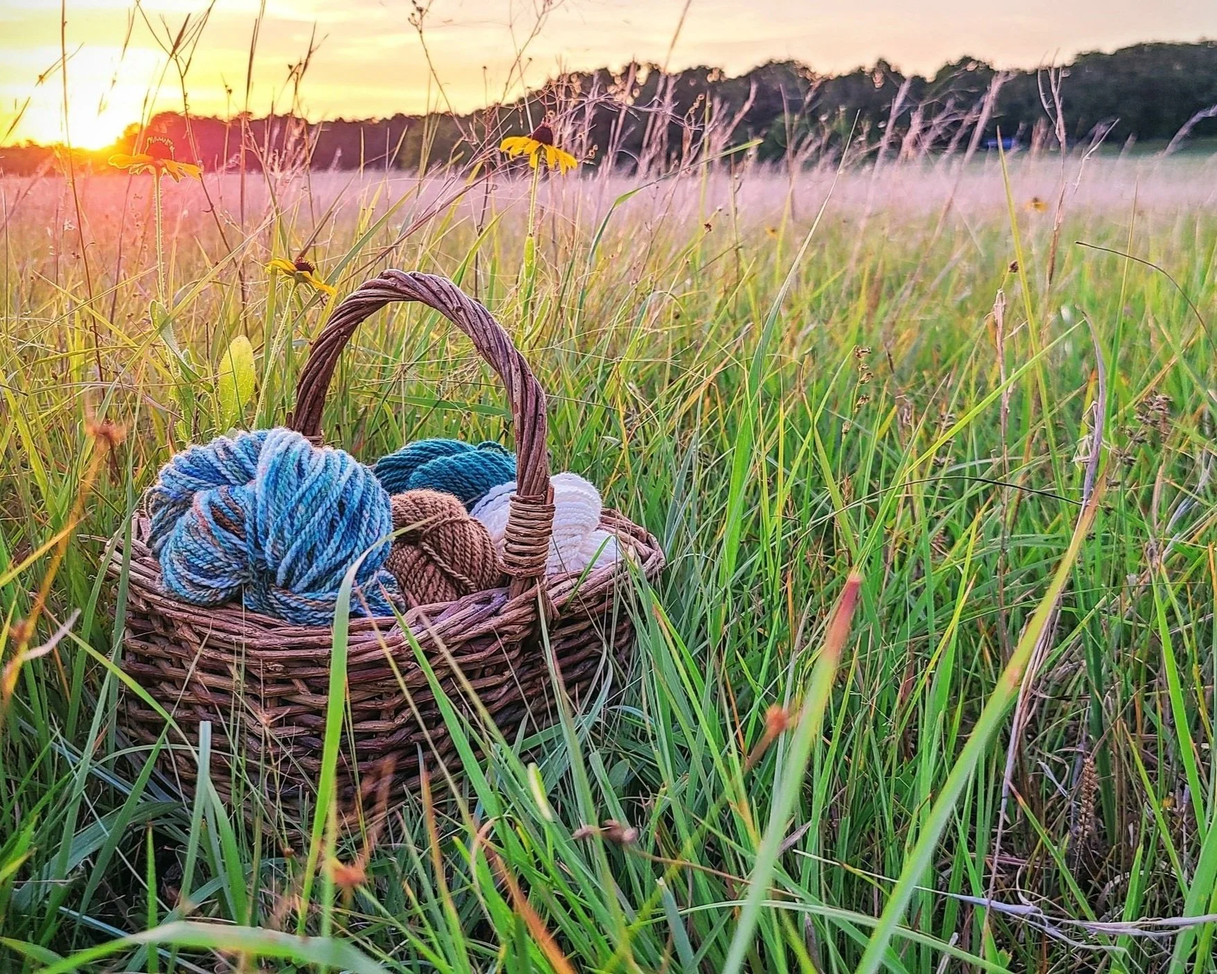 Products — Myers Family Farm