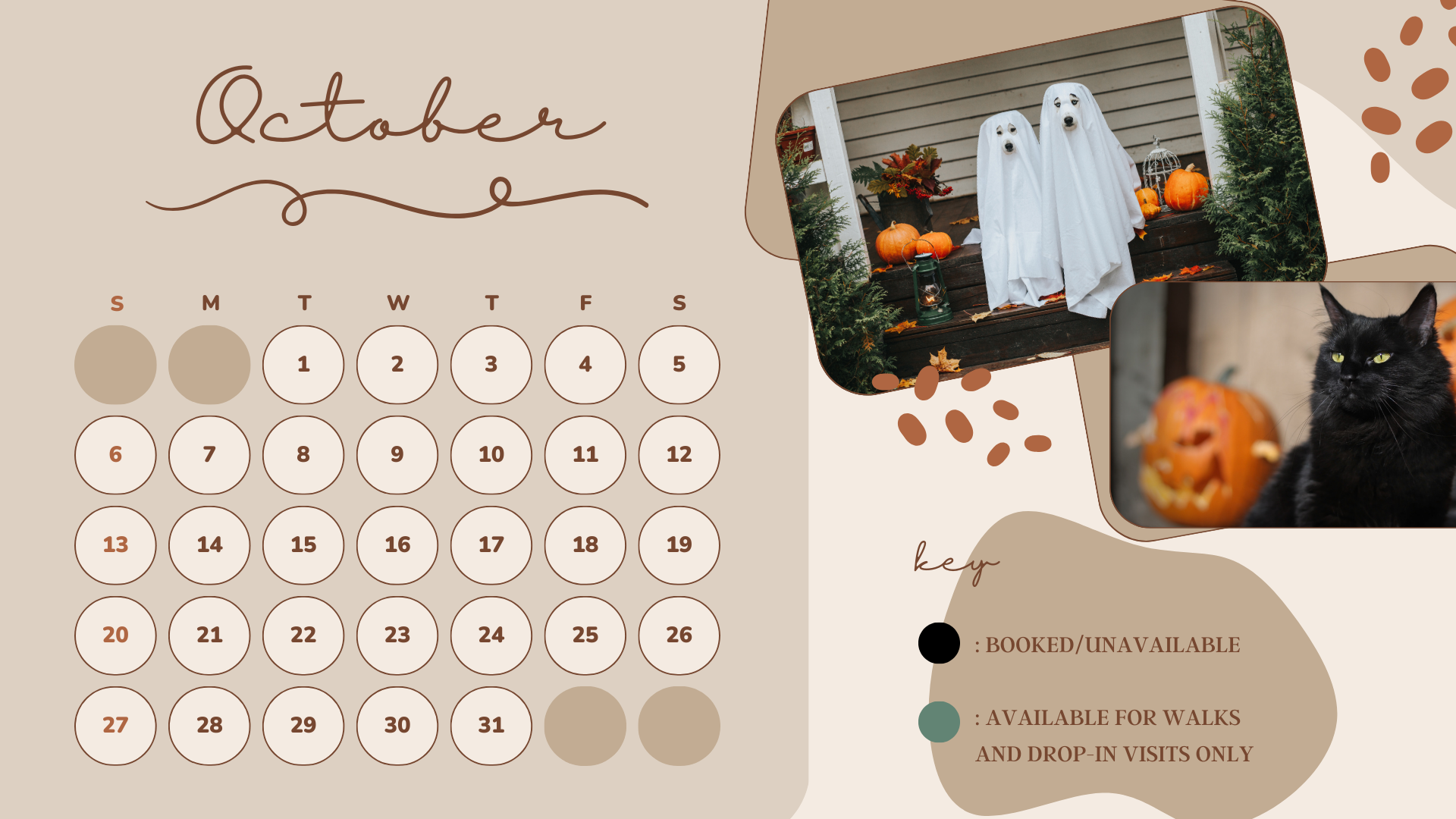 Booking & Availability — Lobo Tails Pet Care