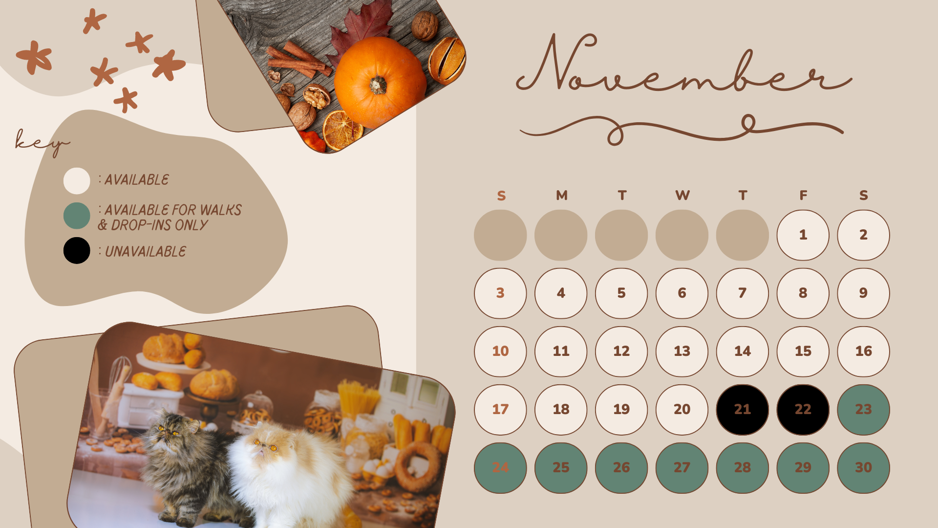 Booking & Availability — Lobo Tails Pet Care