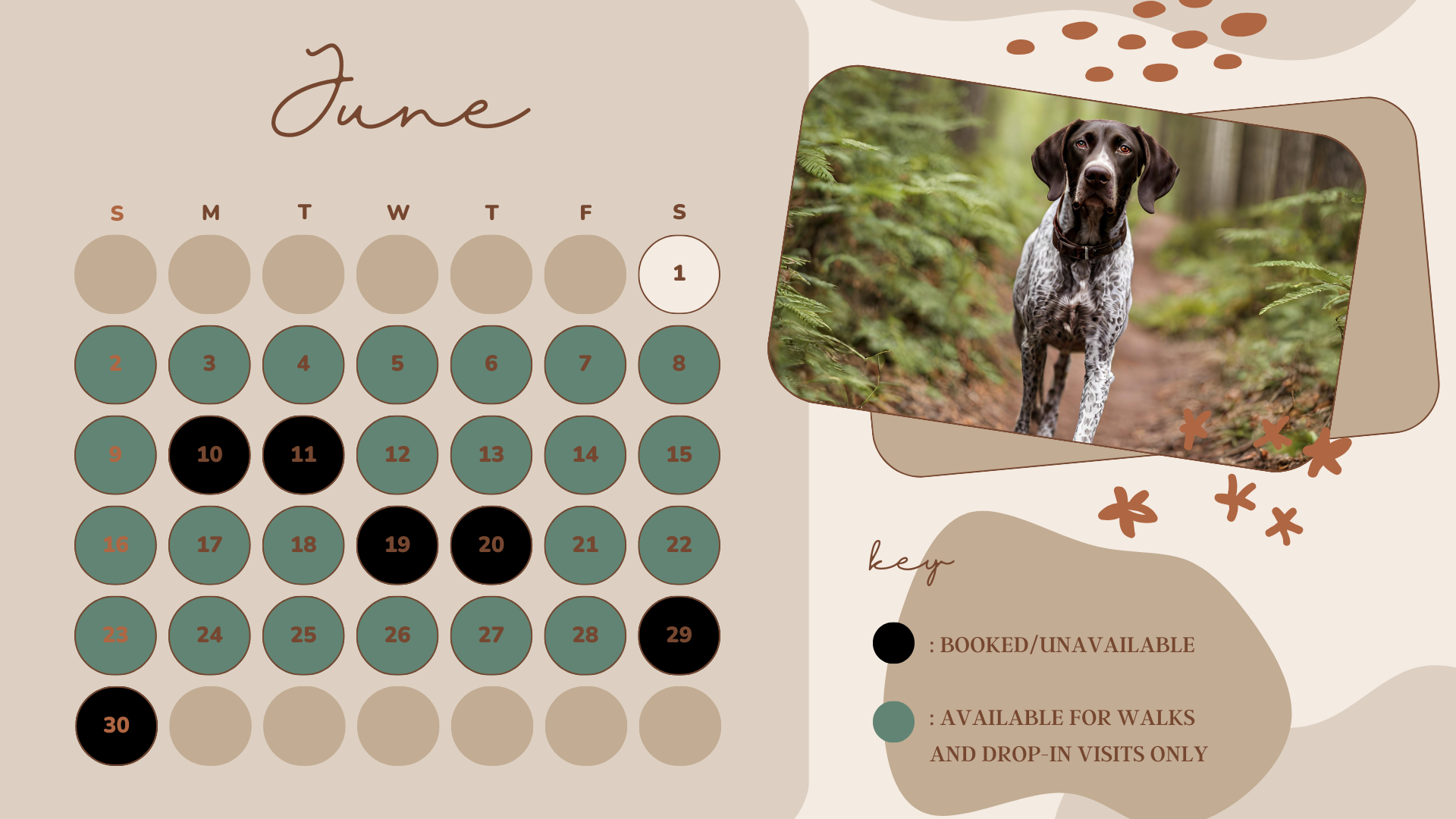 Booking & Availability — Lobo Tails Pet Care