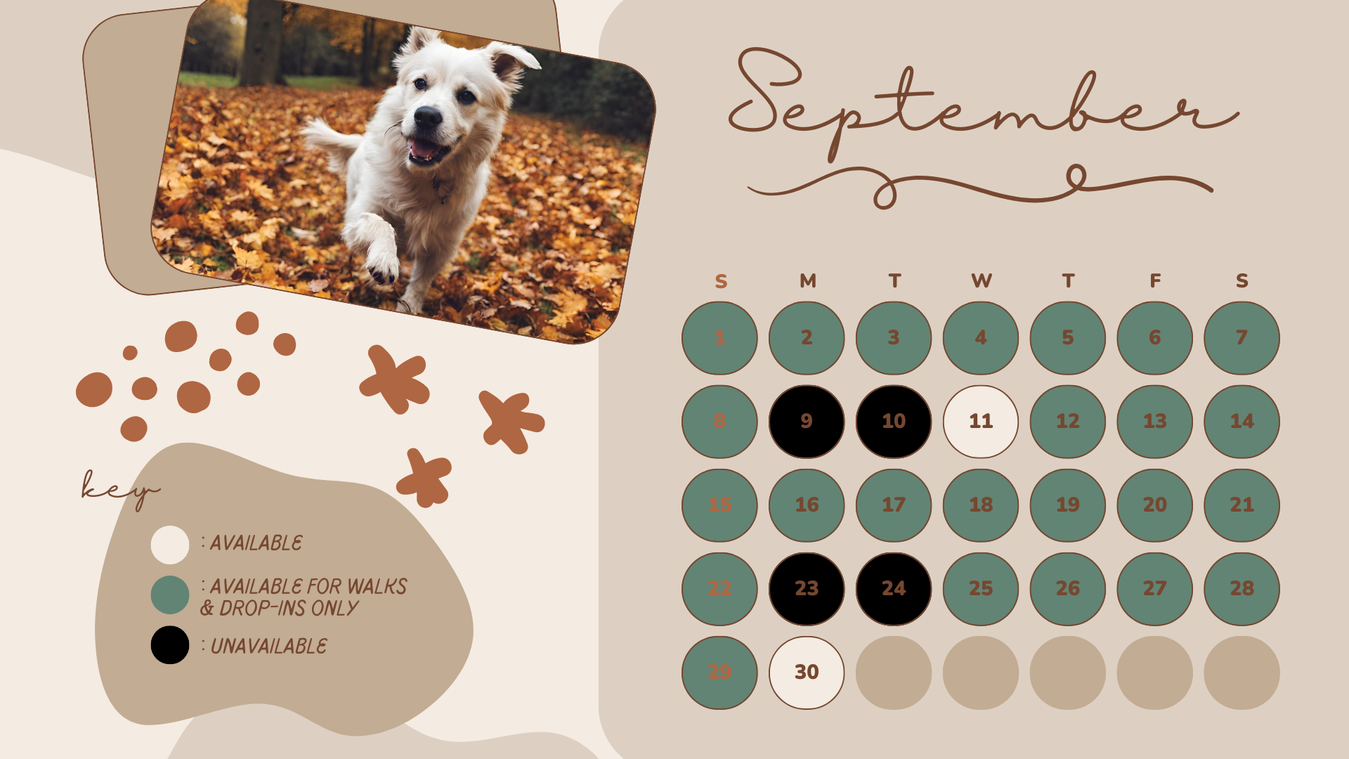 Booking & Availability — Lobo Tails Pet Care