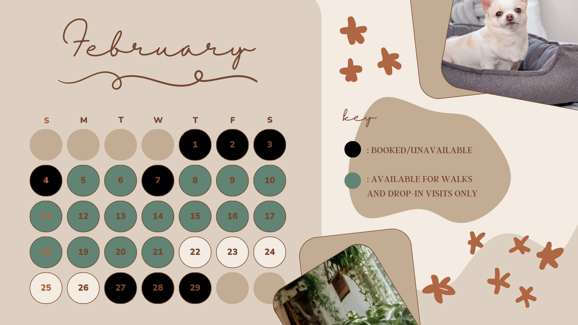 Booking & Availability — Lobo Tails Pet Care