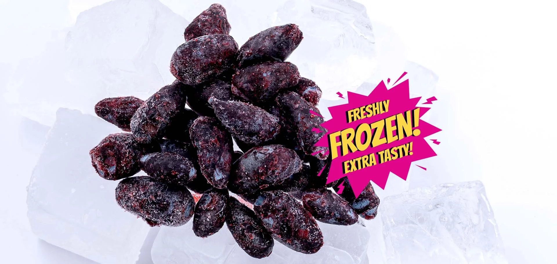 Nova Scotia's Own Haskap Berries