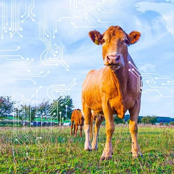 Portfolio | AIX Ventures