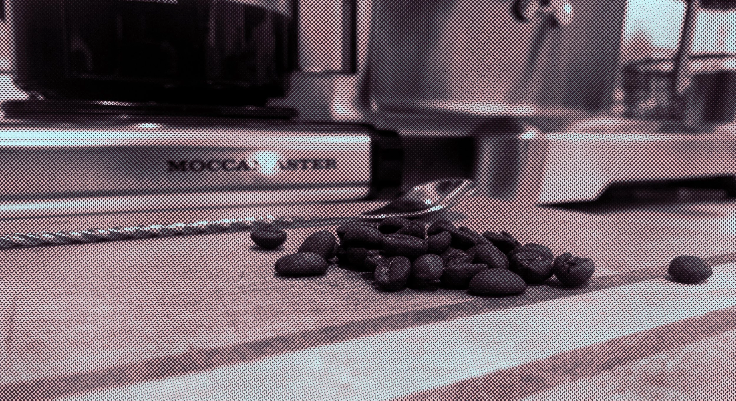 Brew — Forestry Coffee Roasters