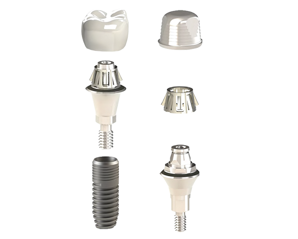 About — RODO Digital Prosthetics Inc.