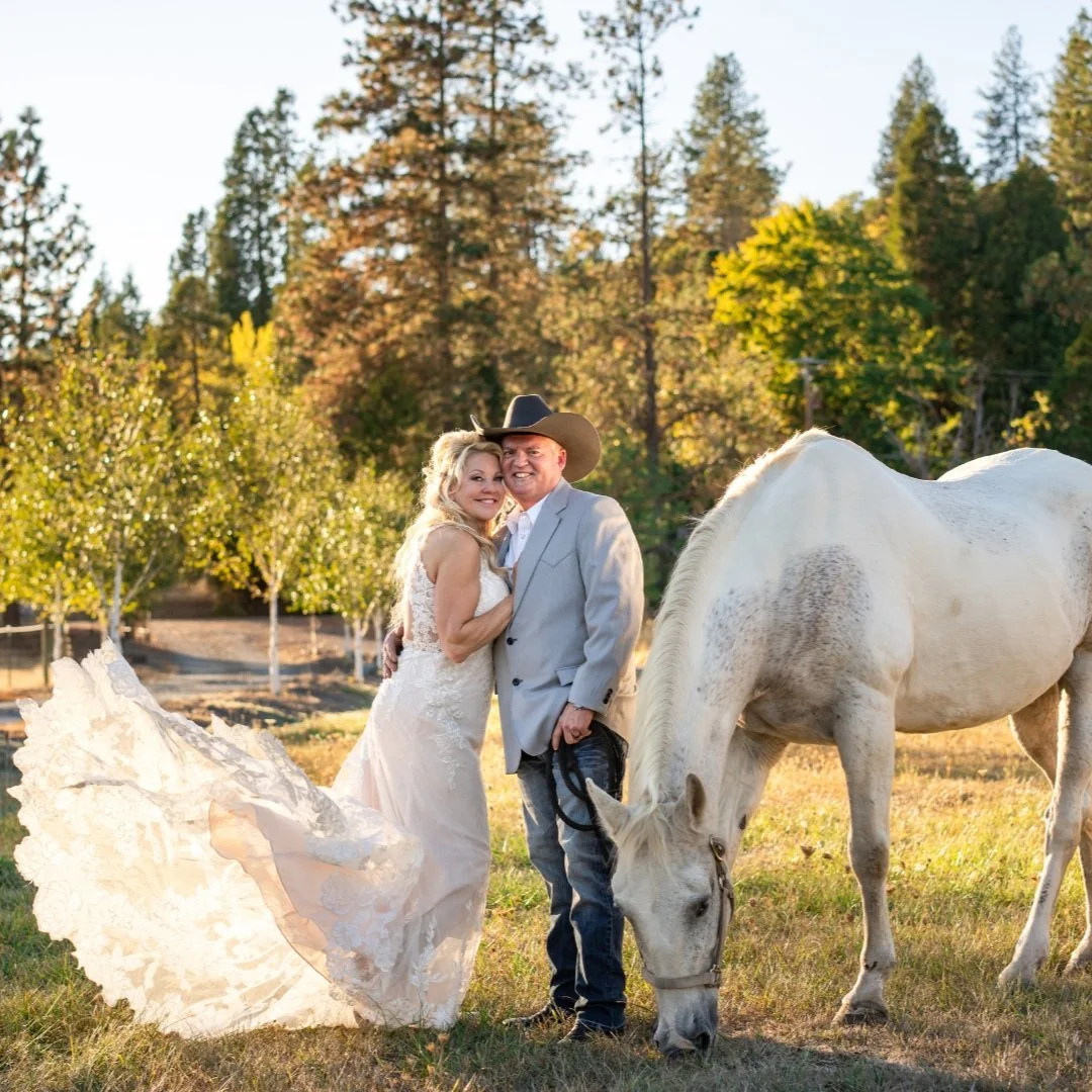 Contact — Sungate Place