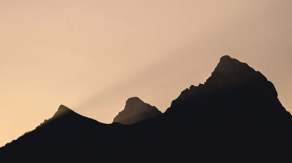 Free Stuff — Lizzie Peirce