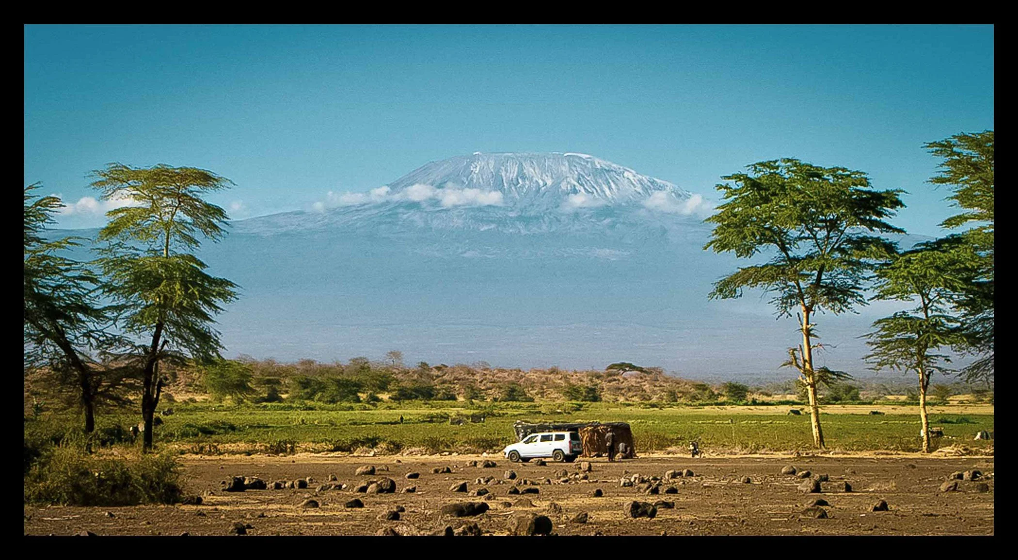 Tolstoy the Tomato Thief
