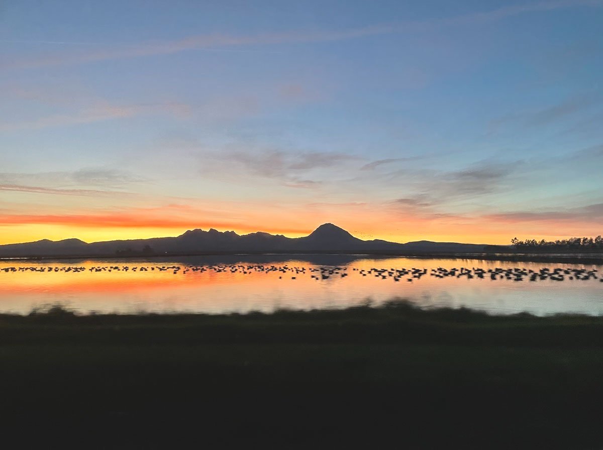 Sutter Buttes Rubber