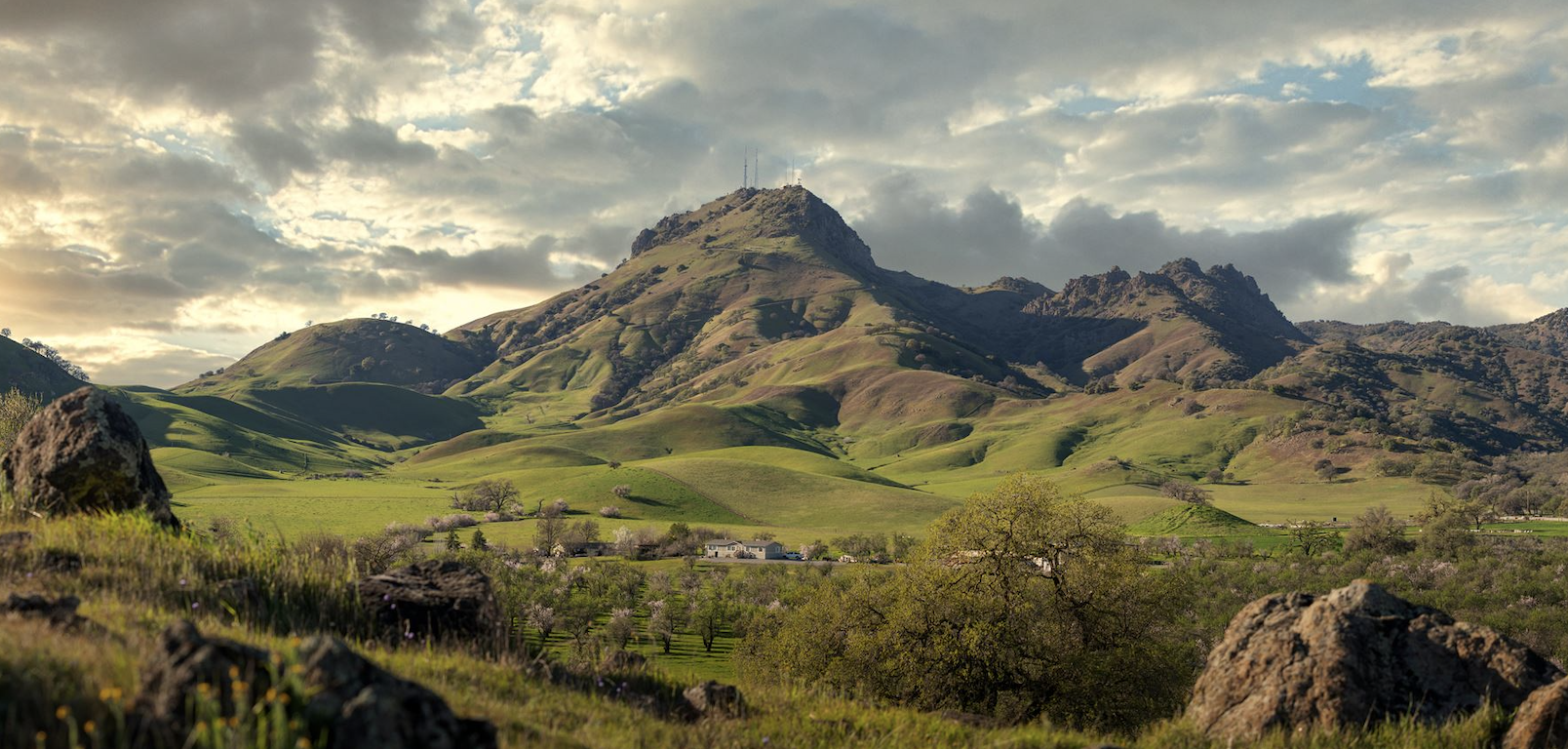 Sutter Buttes Rubber