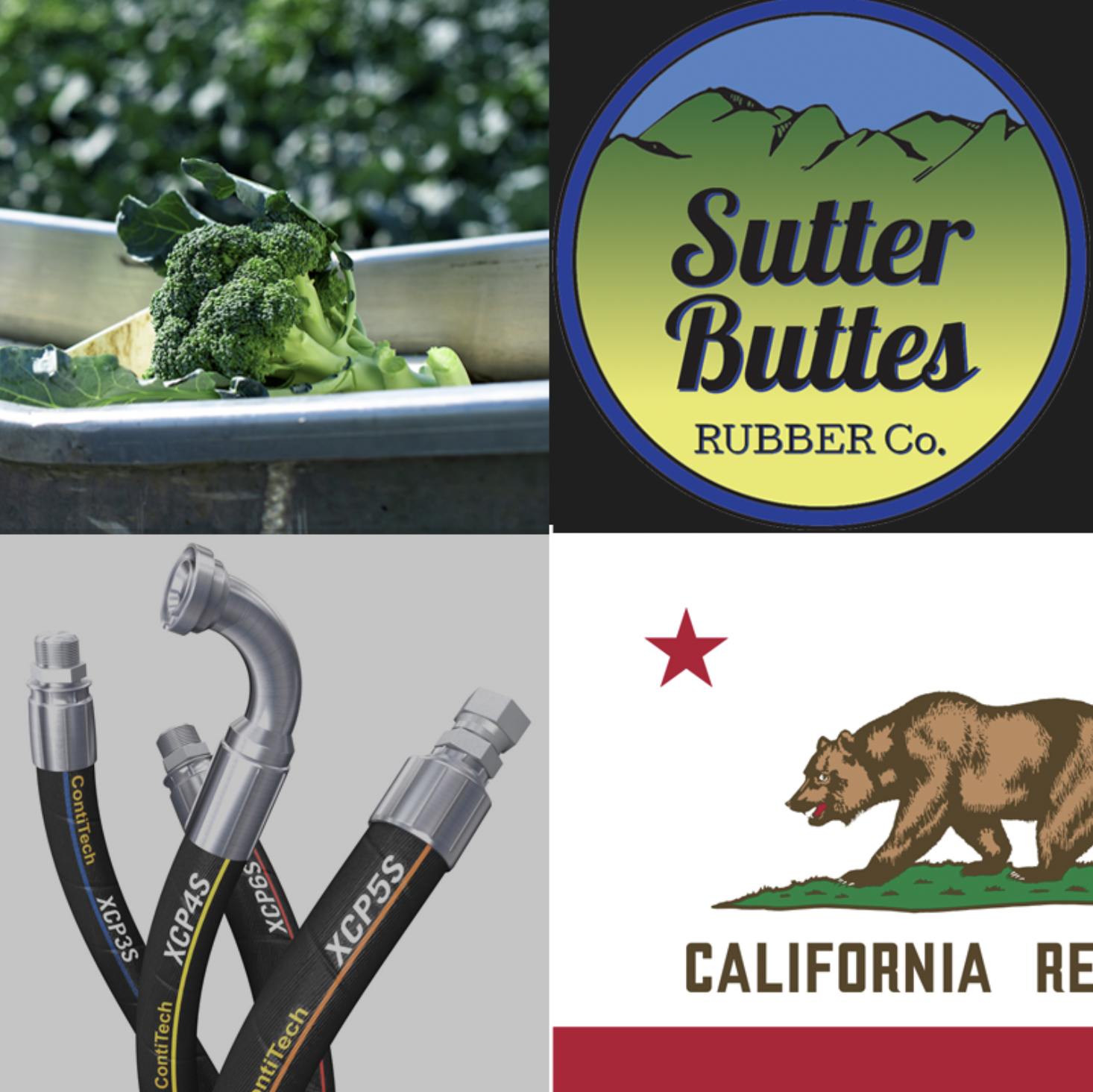 BLOG | Explore Our Journey — Sutter Buttes Rubber