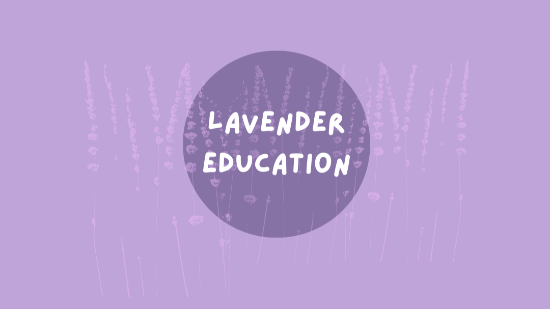 lavender courses