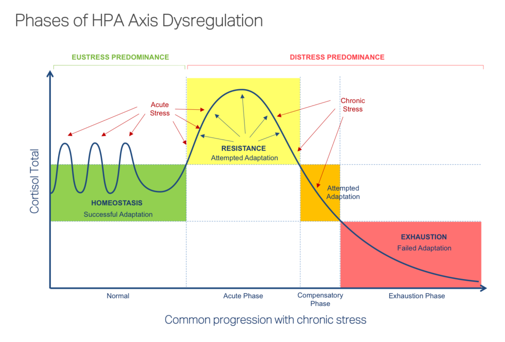 Free adrenal function assessment for adrenal fatigue, adrenal ...