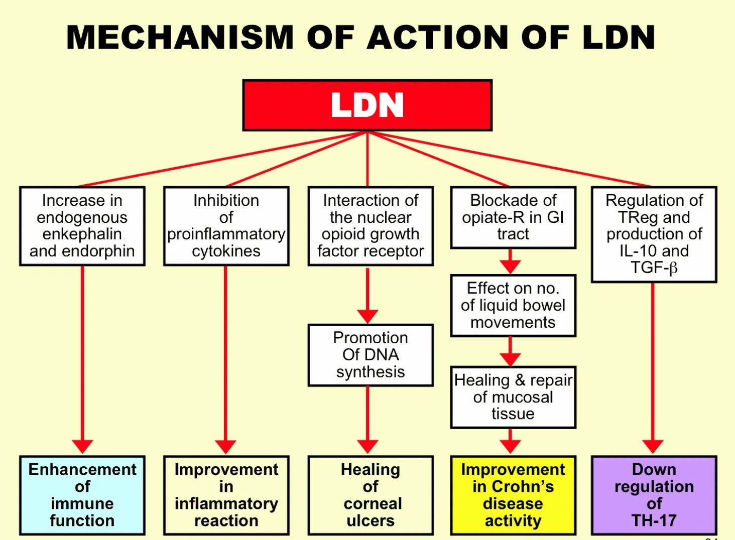 Low Dose Naltrexone (LDN) for Autoimmune Conditions — Dr. Timothy R ...