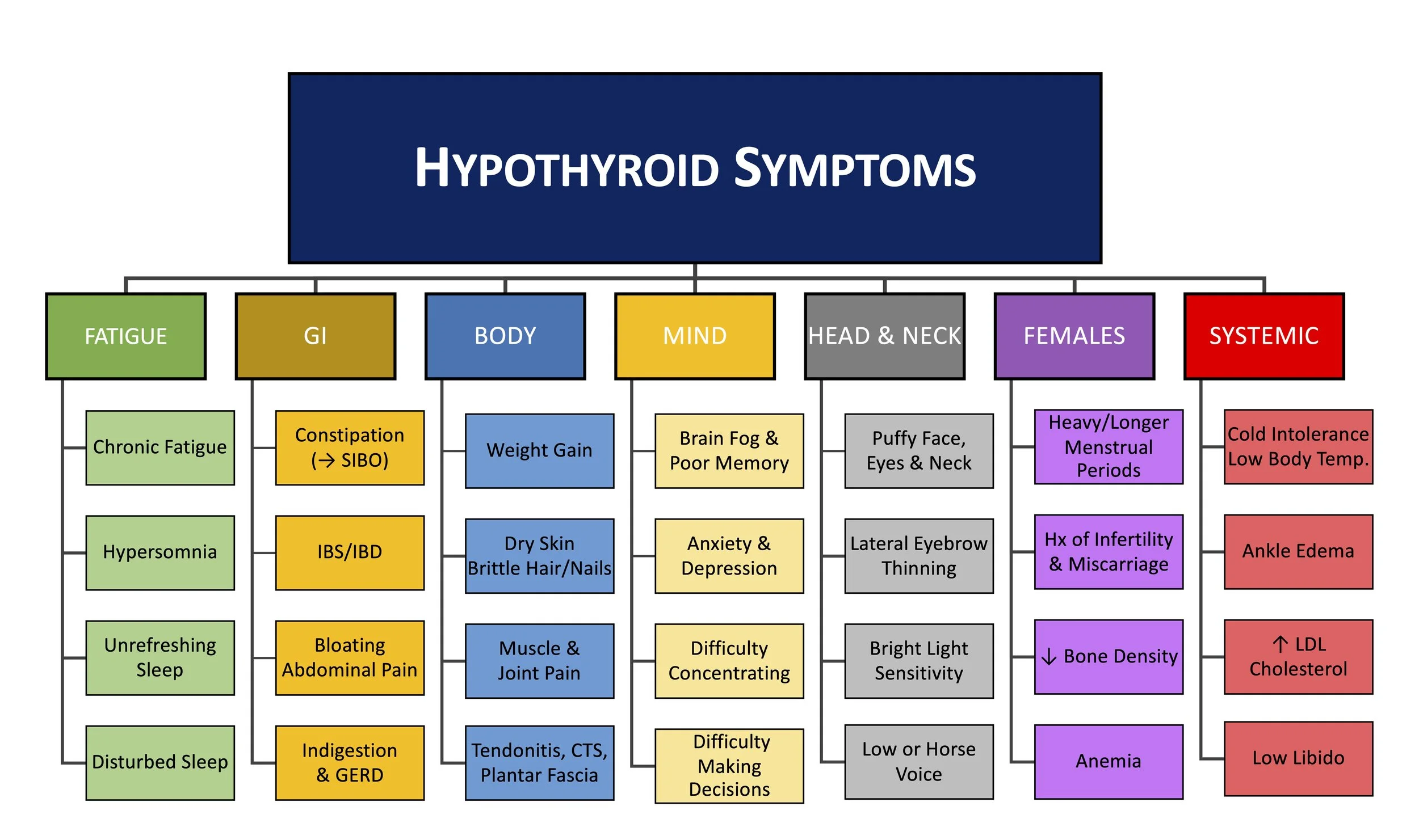 Low-Thyroid Care: Functional Treatments — Dr. Timothy R. Morris ...