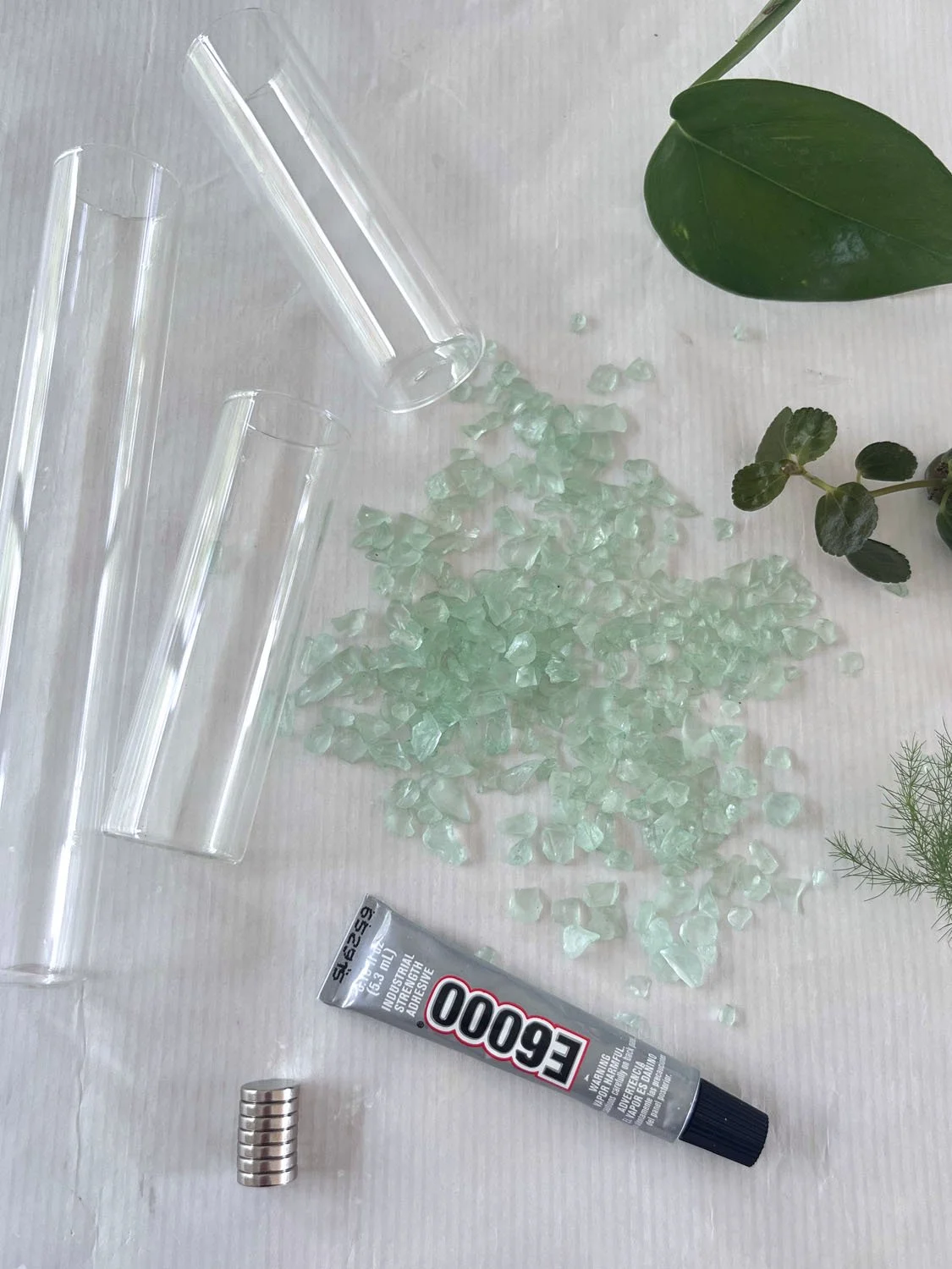 DIY : Un mur de boutures en moins de 5 minutes — Mila Luce