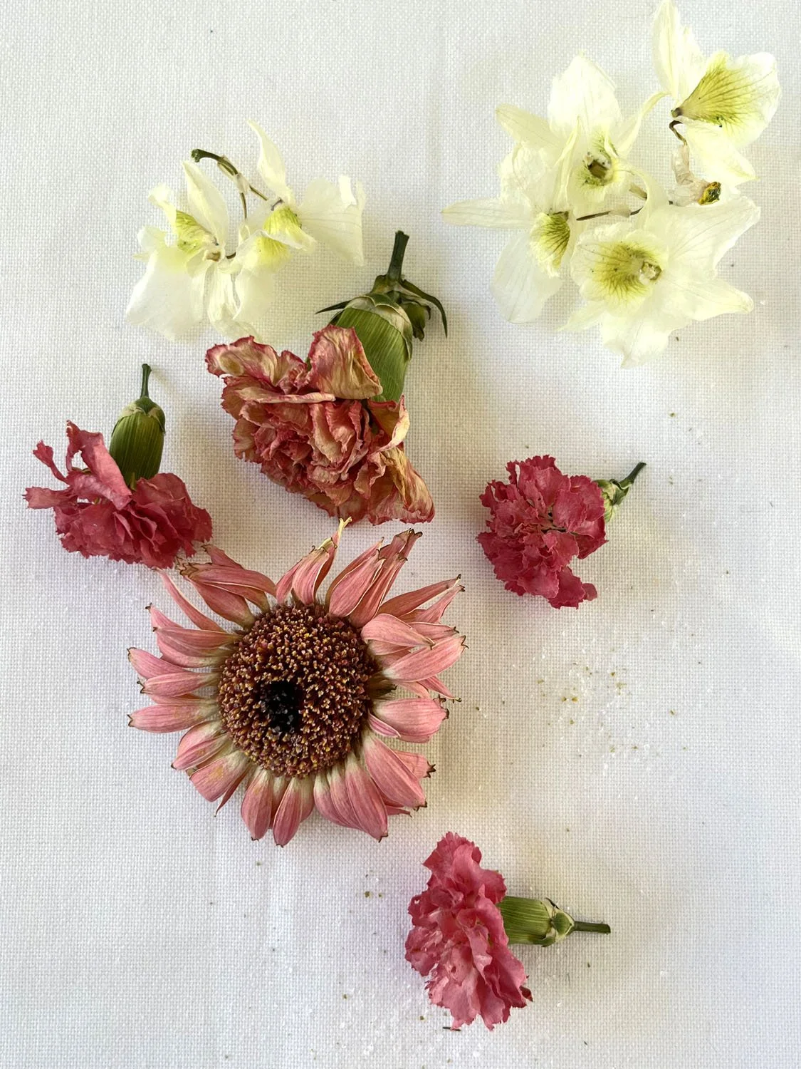 Sachet Pour Lavande Vide 300 Pcs Sachet 1g Alimentaire Sachet De Silice ...