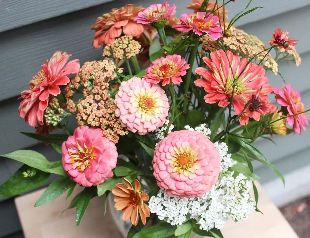 Shop Locally Grown Farm Fresh Flowers