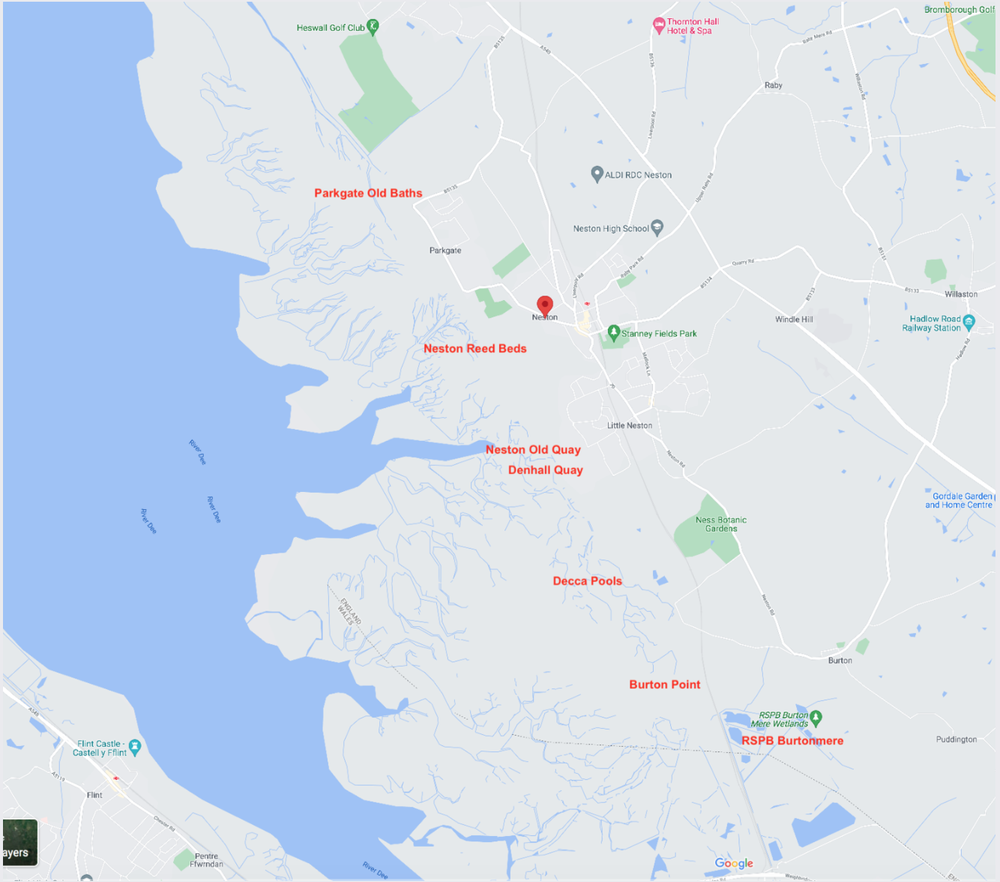 Parkgate Birdwatching — The Parkgate Society