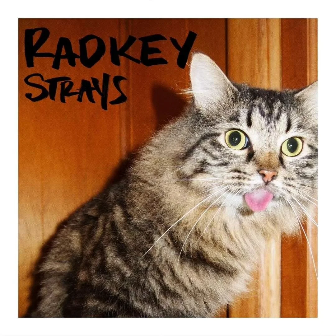 RADKEY OFFICIAL SITE