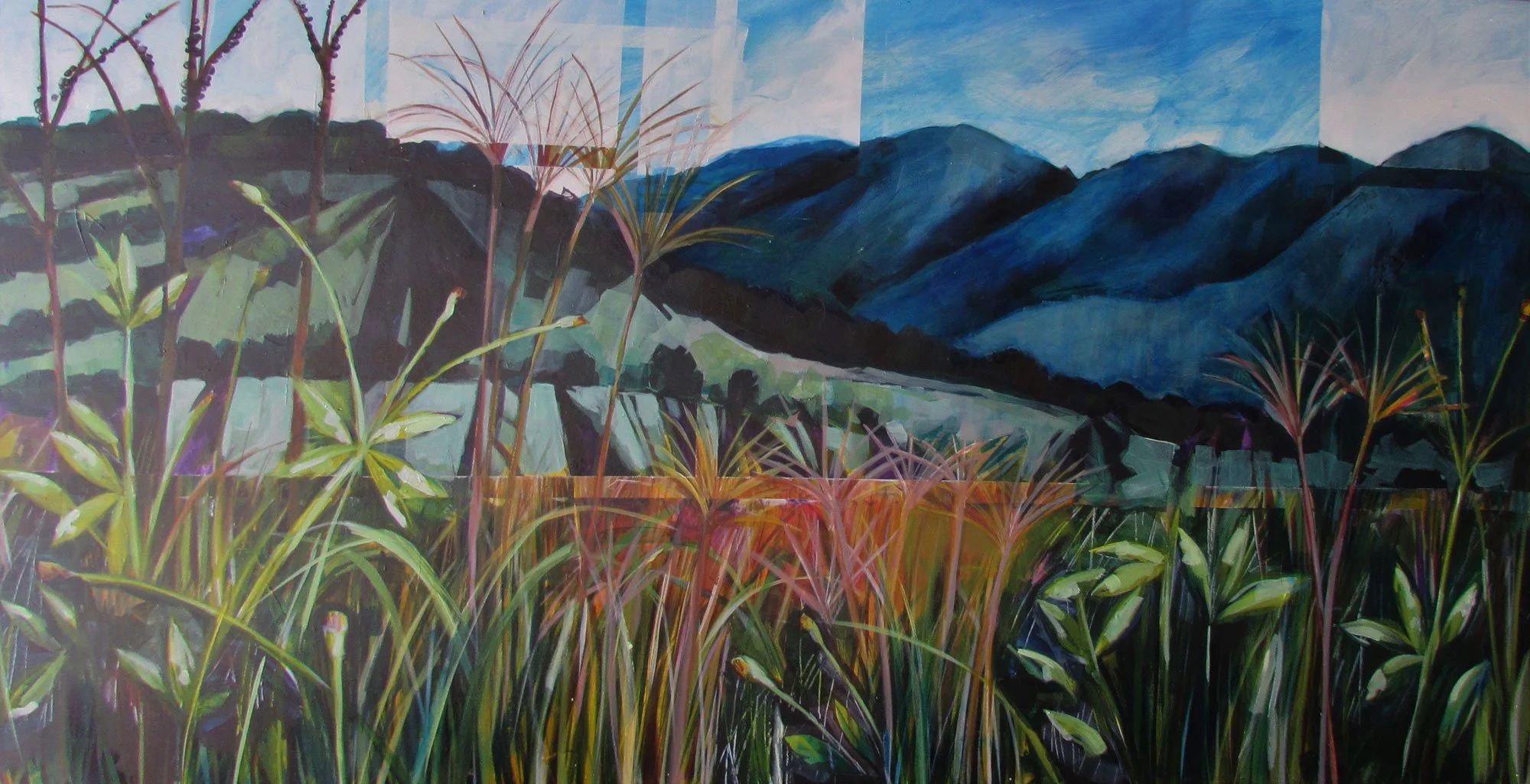 Helen Evans — Stevens Street Gallery