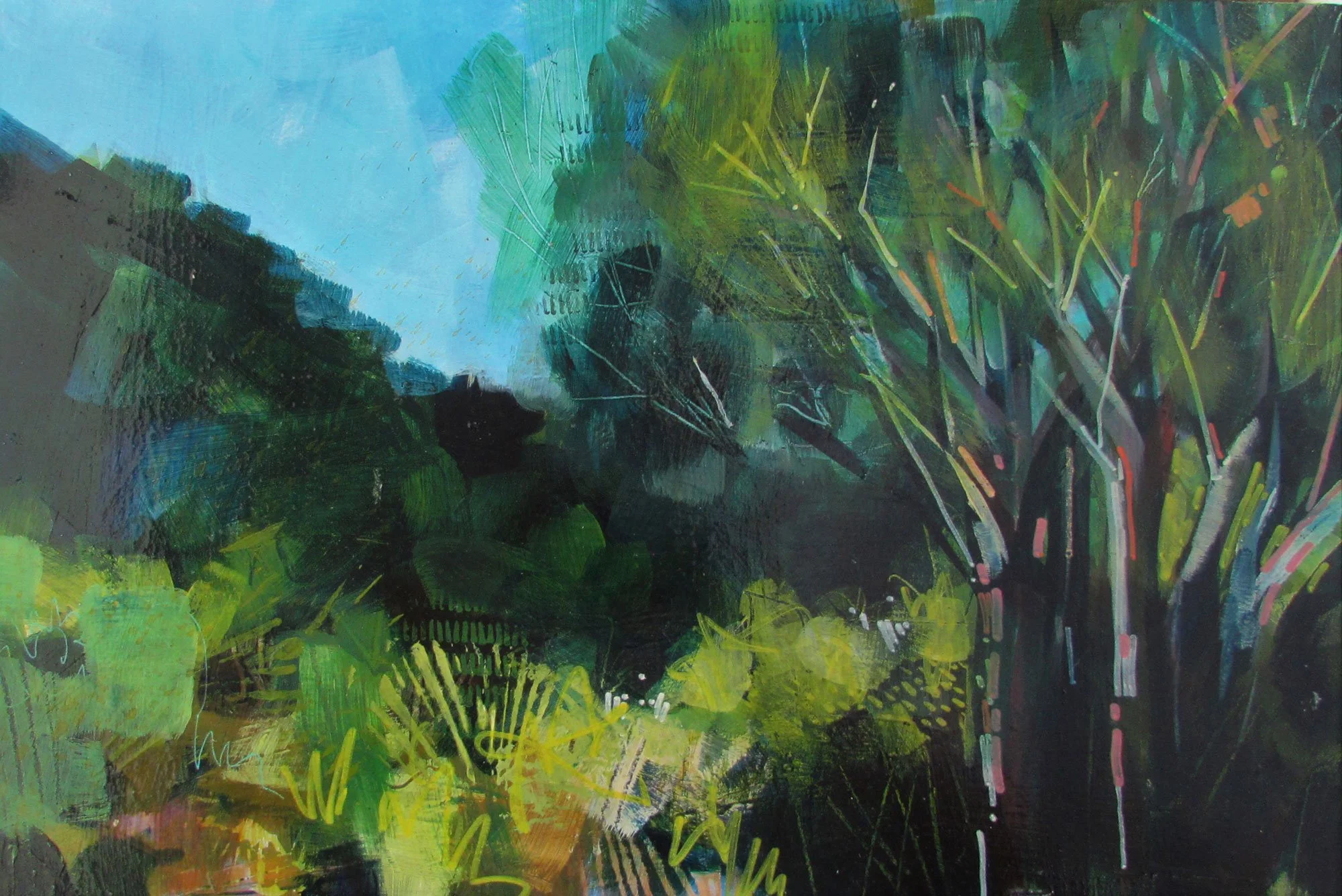 Helen Evans — Stevens Street Gallery