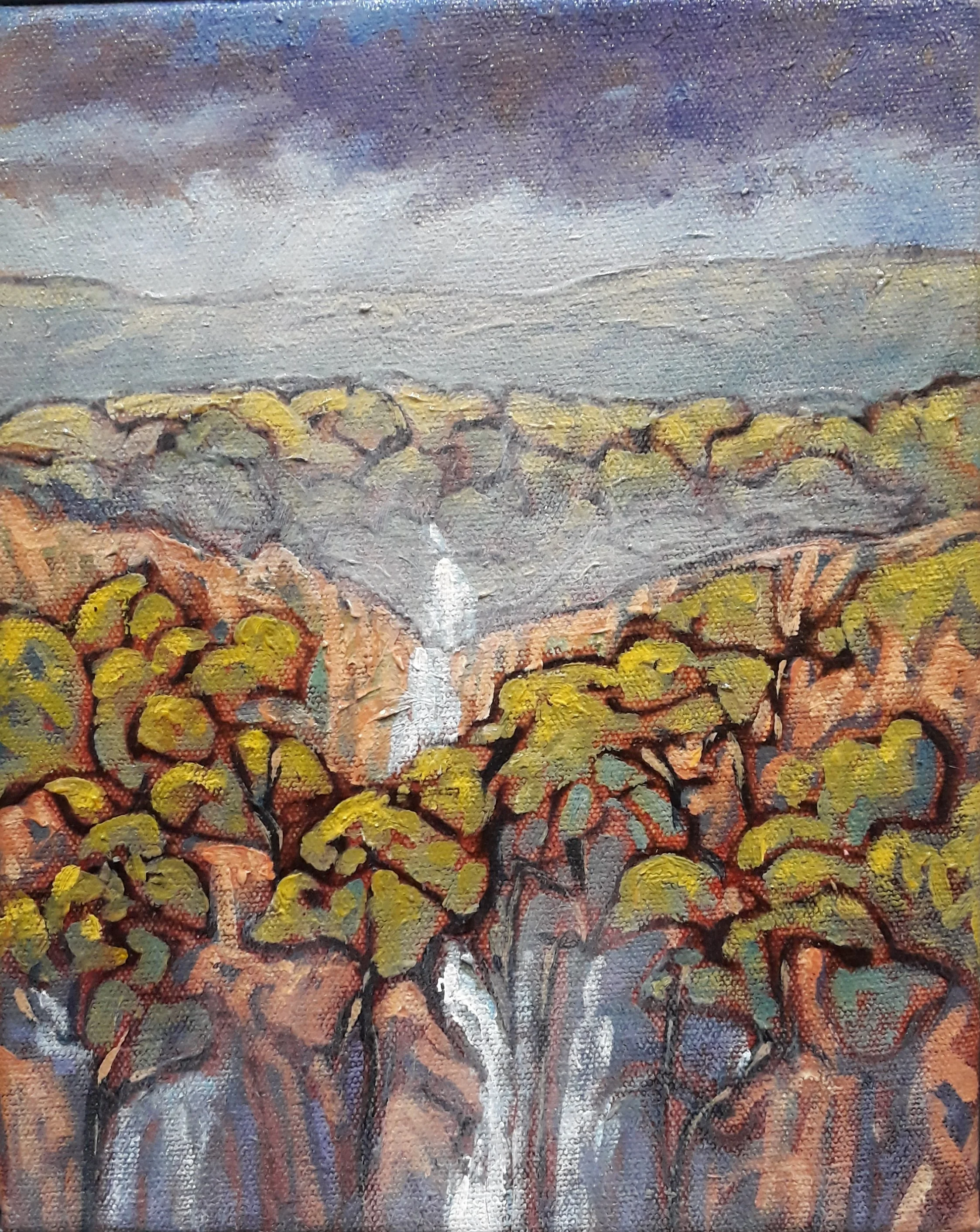 Landscape Studies No.10 - Wayne Smith — Stevens Street Gallery