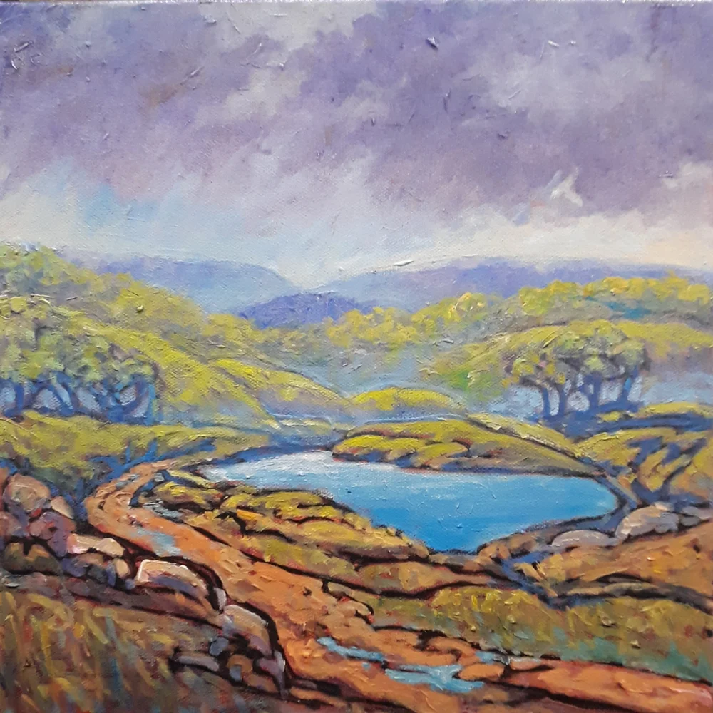 Stevens Street Gallery