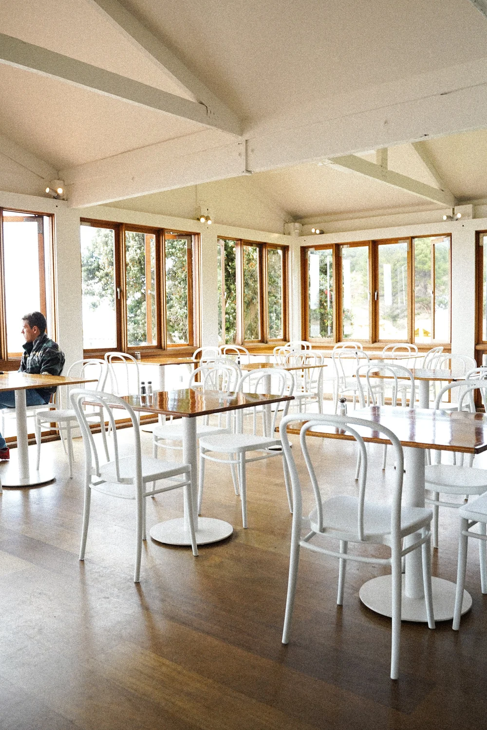 Gallery — Flying Fish