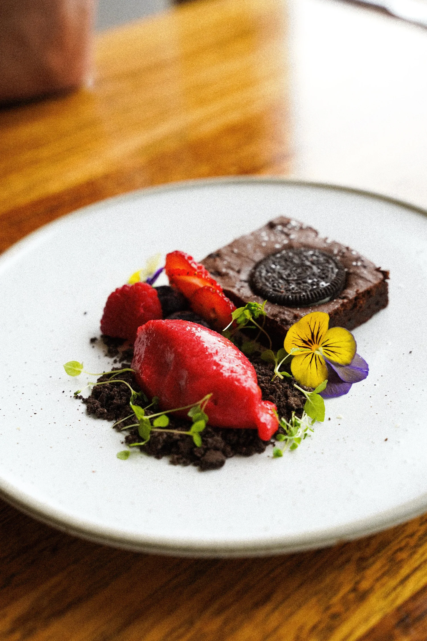 Gallery — Flying Fish