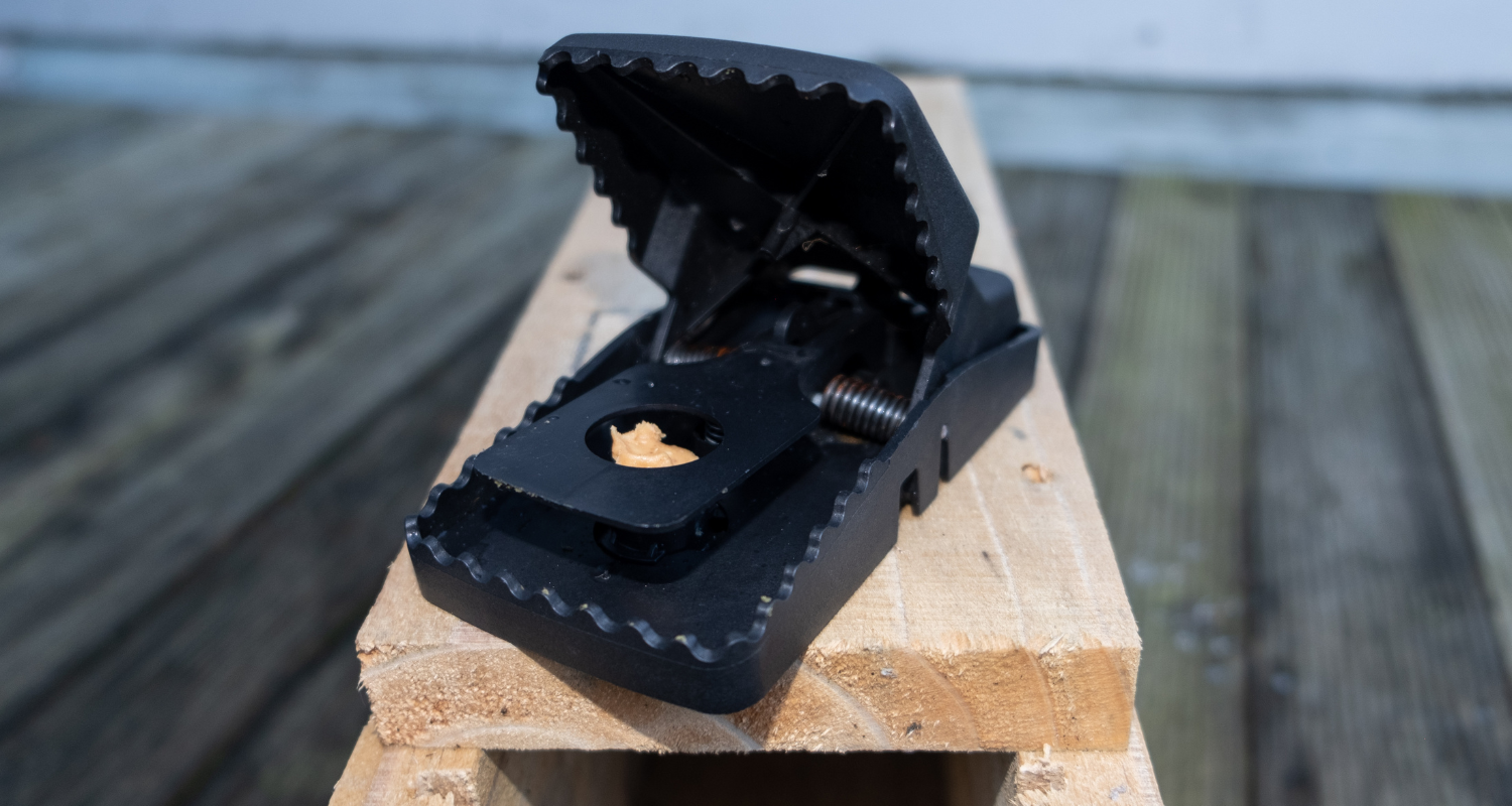 Trapper T Rex Rat Snap Traps