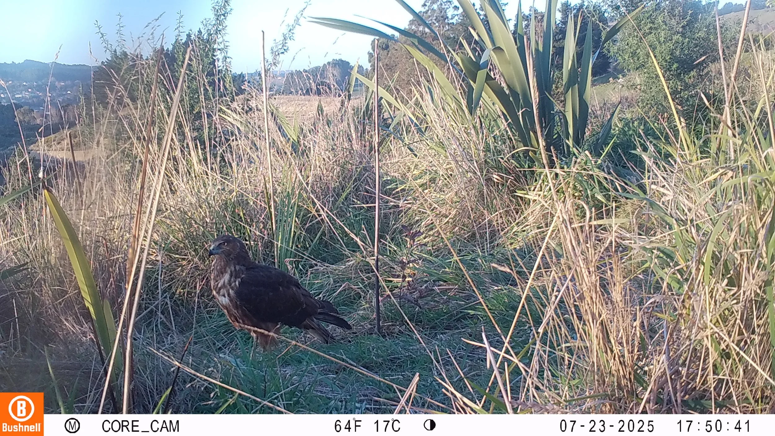 City Sanctuary wins an AT220 – and pays it forward! — City Sanctuary